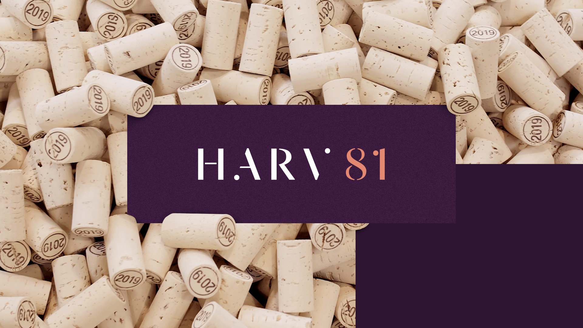 Harv 81 Group: Vídeo - LOBAbx